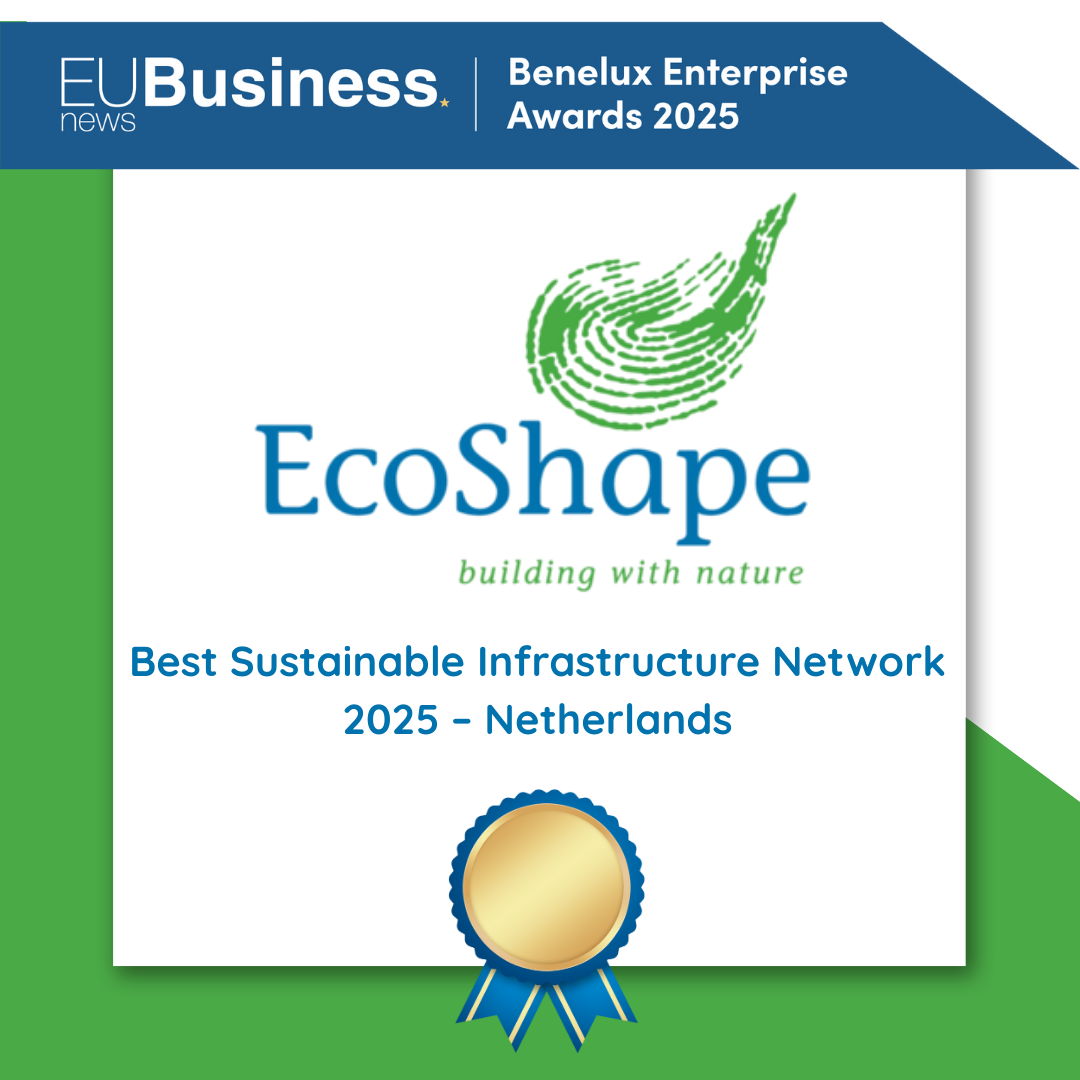 EcoShape awarded Best Sustainable Infrastructure Network 2025 ...