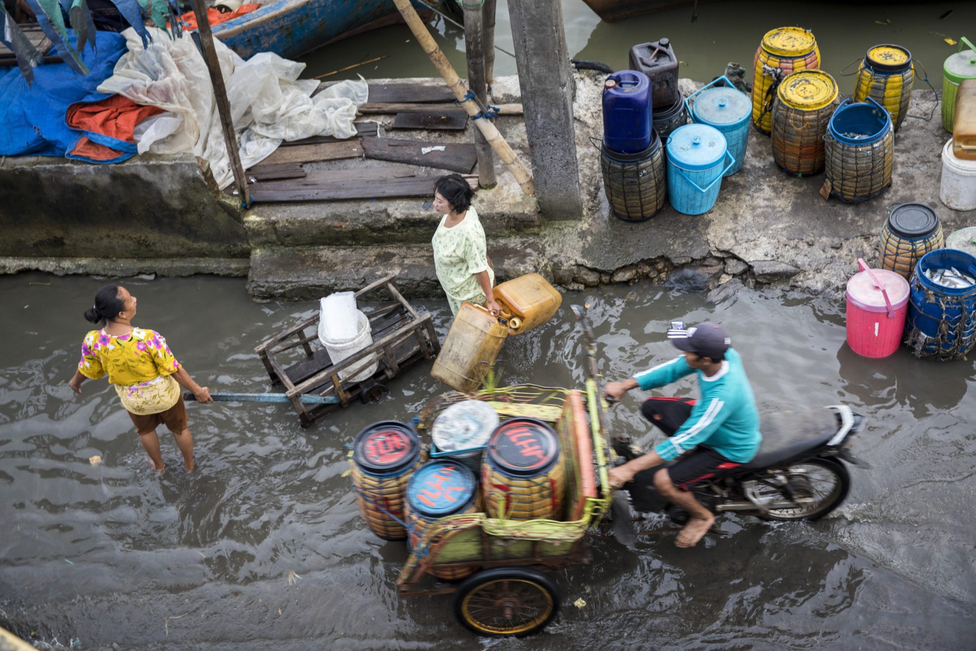 Building with Nature - EcoShape