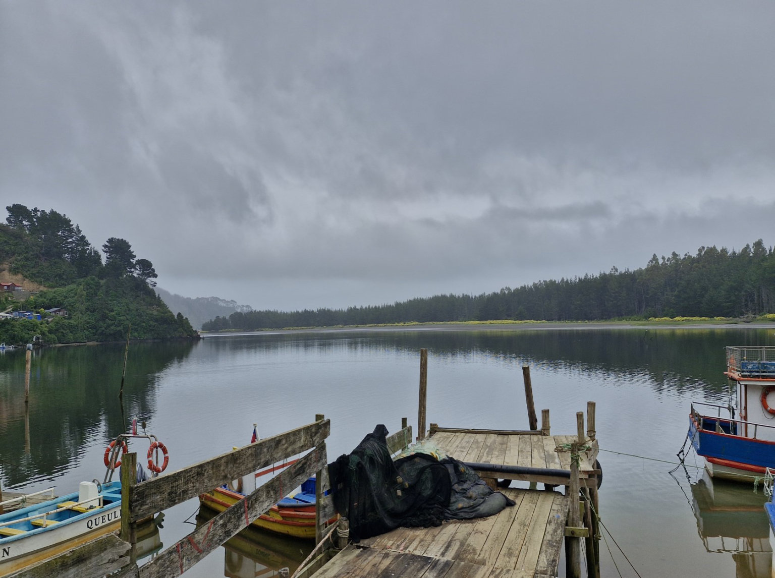 Building with Nature - EcoShape